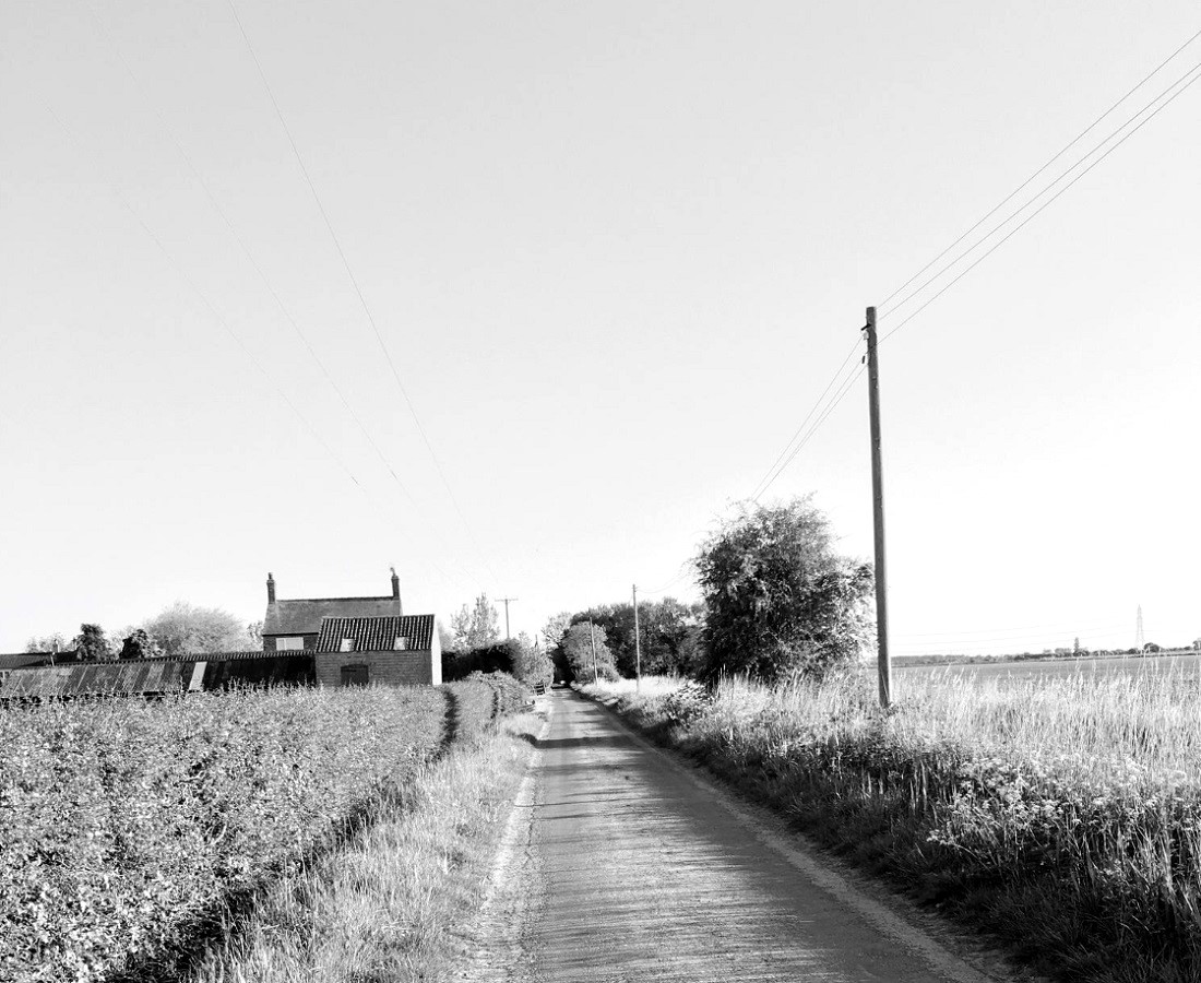 Origen y evolución de los Cellers.